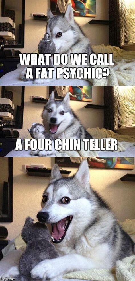 Bad Pun Dog Meme Imgflip