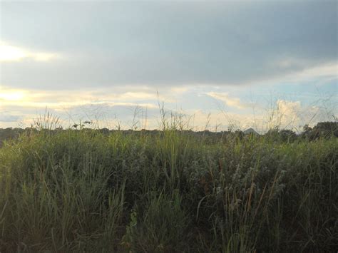 Hms Weblog Sore But Worth It