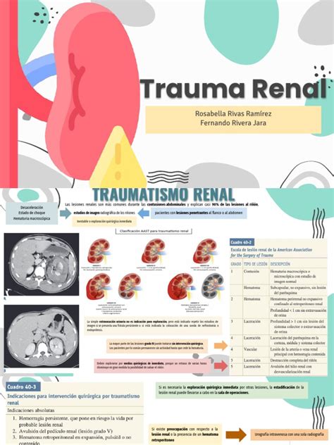 Trauma Renal Pdf