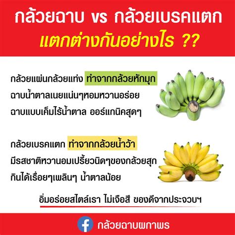 กล้วยฉาบผกาพร กล้วยฉาบ Vs กล้วยเบรคแตก แตกต่างกันอย่างไร