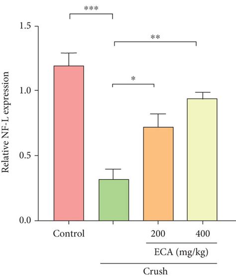 Neuroprotective Effects Of E Amoenum Ethanol Extract In The Optic