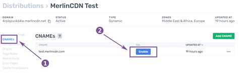 Add Ssl Certificate To A Cname Merlin