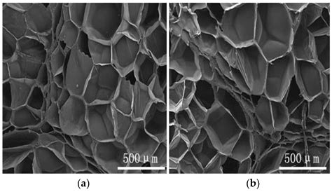 Crushing Responses Of Expanded Polypropylene Foam