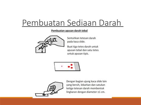 Pembuatan Sediaan Darah Malarialaboratorium Malaria Ppt