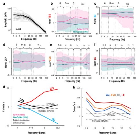 Ictal Onset And Propagation Zone Epinet Showed Anomalies Concurrently Download Scientific