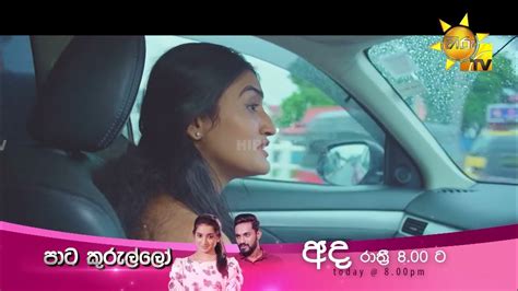 මට ඔබ වහන්සේගේ රාජ භෝජන සකස් කරන්න බැරි වුනා Paata Kurullo පාට කුරුල්ලෝ Youtube