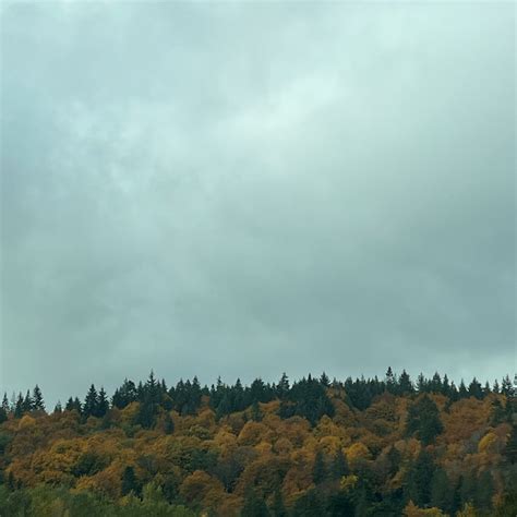 Hope Piano Sample Pack Aksdnt Aksdnt