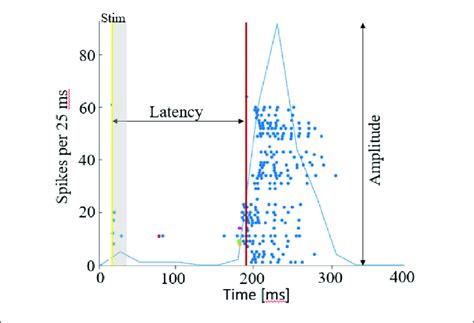 network synchronization parameters a raster plot of a single network
