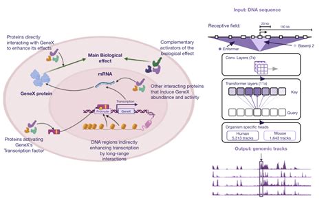 Bioinformatics And Ai For Comprehensive Multiomics Ardigen Top Ai Powered Cro For Drug