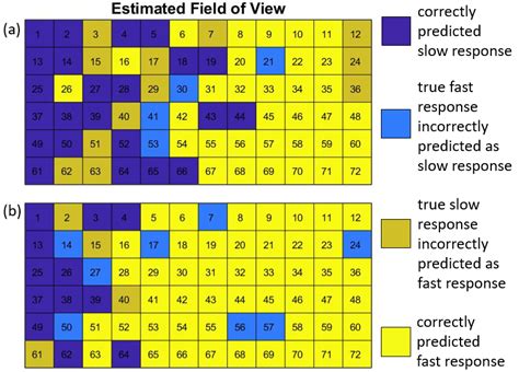 Areen Augmented Reality Based Eeg Guided Neglect Detection Assessment And Rehabilitation