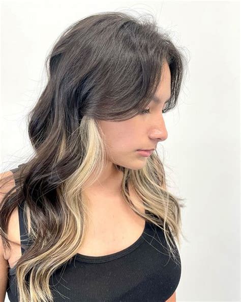 Top 35 Underneath Hair Color Ideas For A Bold Look Hood Mwr