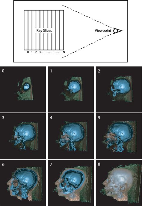 Figure 3 From Image Based Volume Rendering With Opacity Light Fields
