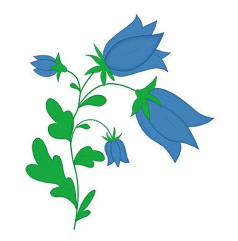 Колокольчик цветок Рисунок в 1 класс на урок окружающий мир