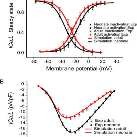 A Steady State Activation And Inactivation Curves Of The Ina Current Download Scientific