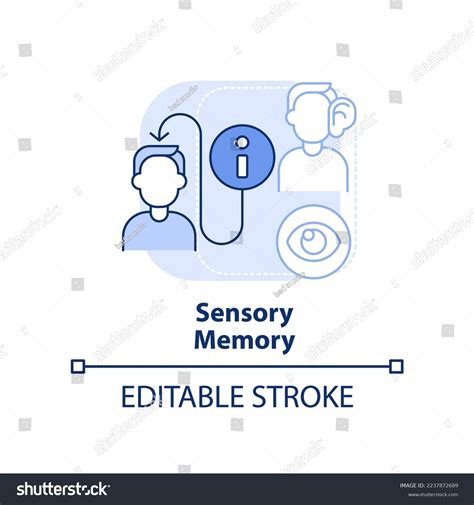 Sensory Memory Light Blue Concept Icon Stock Vector Royalty Free 2237872689 Shutterstock