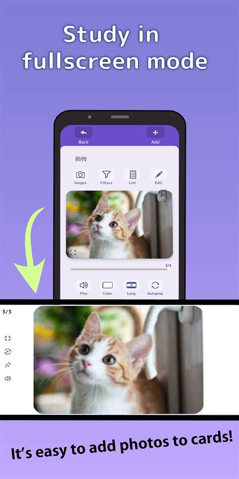 Flashcards Maker APK For Android Download