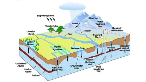 Groundwater And Surface Water Diagram Understanding Groundwa