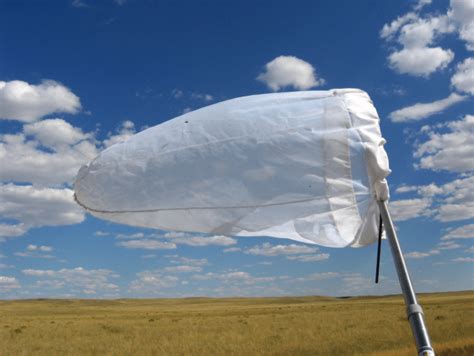 Wifi Monitoring Blog Archives Netbeez Network Monitoring