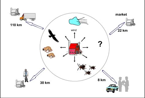 Routes Of Transmission Of Classical Swine Fever Download Scientific Diagram