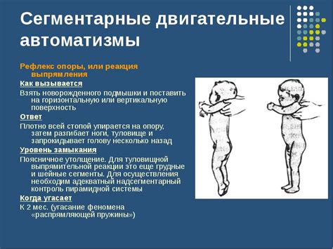 Рефлексы новорожденных и детей первого года жизни