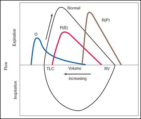 Determination Of Tidal Volume And Vital Capacity Labmonk Total Lung