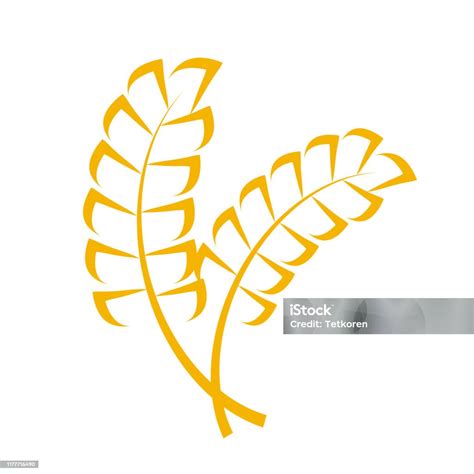 밀 또는 보리 귀 수확 밀 곡물 성장 쌀 줄기 와 전체 빵 곡물 또는 필드 시리얼 영양 호밀 곡물 농산물 귀 기호 격리된 벡터 아이콘 가을에 대한 스톡 벡터 아트 및 기타