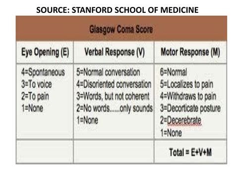 SOLUTION Pathophysiology Seizures And Epilepsy Studypool