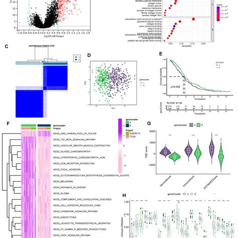 Prognosis Related Gene Clusters Identification A The Degs Of Subtype