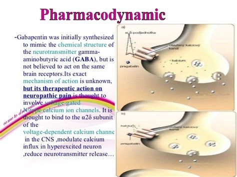 Gabapentin And Pregablin