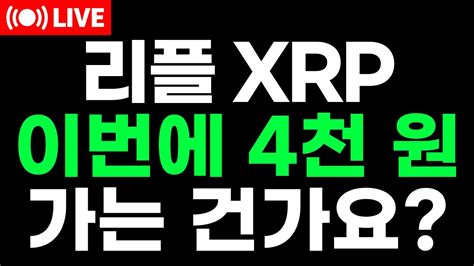 리플 제발 간다고 해주세요 Youtube