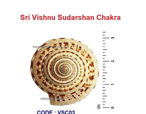 Vsc03 Vishnu Sudarshan Chakra 3 0 Inch