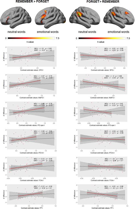 Whole Brain Statistical Parametric Maps Representing Brain Activation Download Scientific