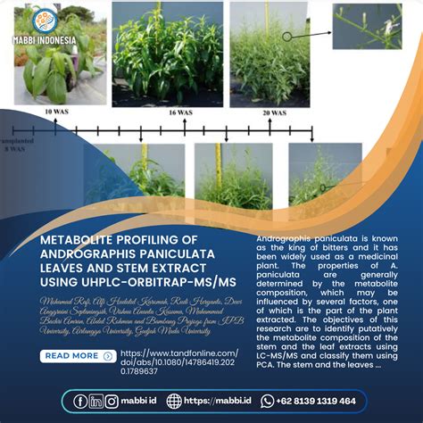 Metabolite Profiling Of Andrographis Paniculata Leaves And Stem Extract Using Uhplc Orbitrap Ms