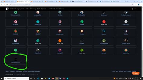 Shivang Maurya On Linkedin Bugbounty Bughunt Bugfix Bugdiscovery Bugreporting Bughunters