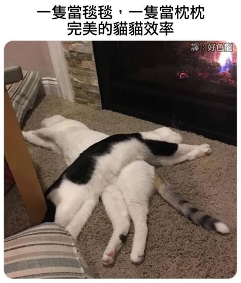 好色龍的網路生活觀察日誌 雜七雜八短篇漫畫翻譯2136