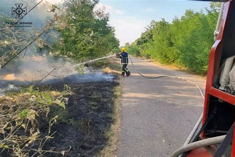 Вогнеборці Дніпропетровщини загасили 43 пожежі в екосистемах Перший Криворізький