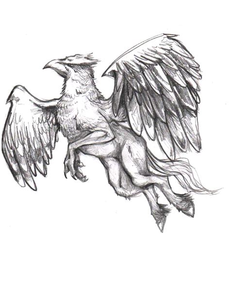 Клювокрыл из гарри поттера рисунок Фотоподборки 1
