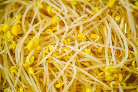 팝콘플래닛 기사콘 기사