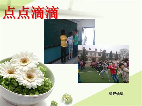 达标回报 word文档免费下载 亿佰文档网