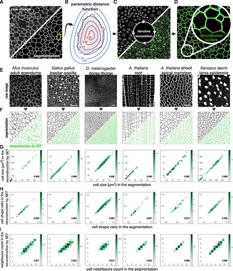 Reconstruction By Set Parametric Modeling And Accurate Reconstruction Download Scientific