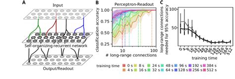 Self Organization Tunes All Neurons Reliably To A Single Stimulus