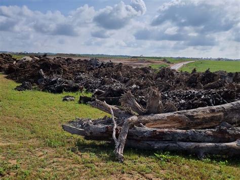 Uk Biomass Recovery Experts Kingwell Holdings