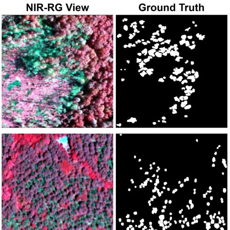 Aerial Imagery For Dead Tree Segmentation Kaggle