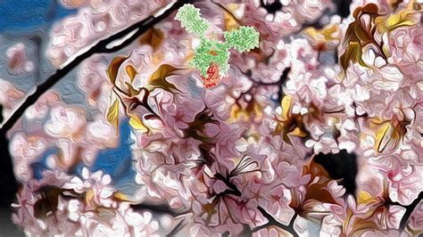 Home Protein Science Society Of Japan