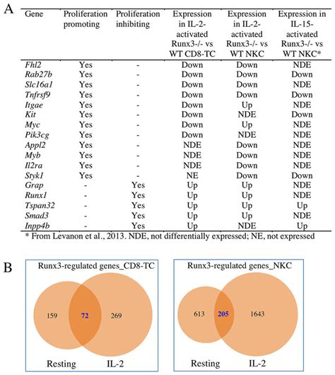 Proliferation Control Runx3 Target Genes In Activated Cd8 Tcnkc And