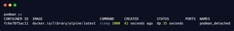 Podman Keep Container Running A Comprehensive Guide