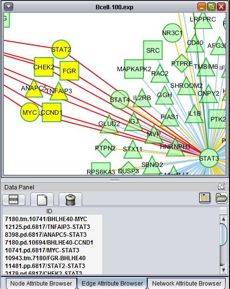 Cytoscape Network Viewer Geworkbench