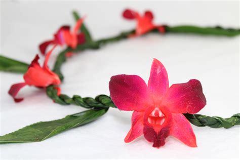 Ti Leaf With Orchid Red Aloha Island Lei