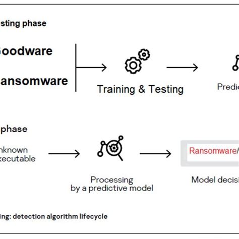 Detection Lifecycle Download Scientific Diagram