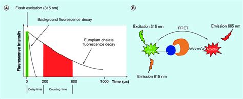 Principle Of The Time Resolved Fluorescence Energy Transfer Assay A